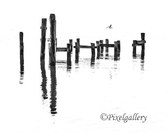 CH Rockey Old Bearded Man Resting on Bench by PixelGallery