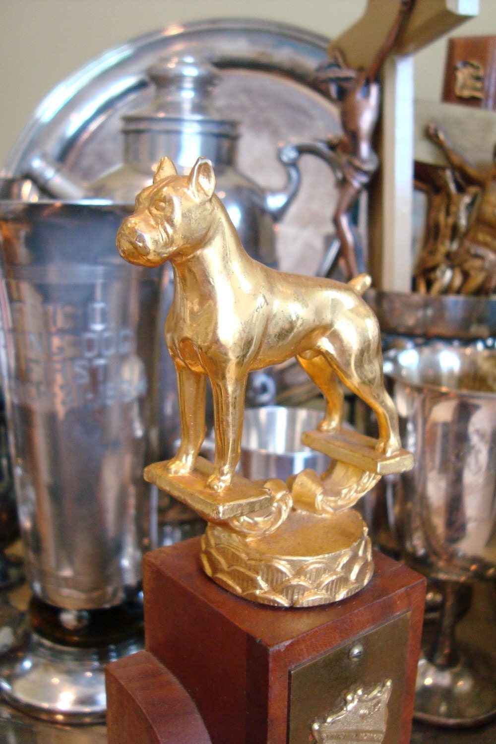 Vintage Dog Show Trophy 1956 By Edithandevelyn On Etsy Vintage Dog Show Trophy 1956 By Edithandevelyn On Etsy