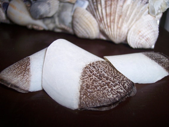 Real Fish Scale Nail Files set of 3