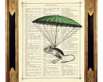 Parachute umbrella | Etsy