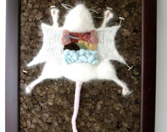 Knitted Dissected Bat Specimen