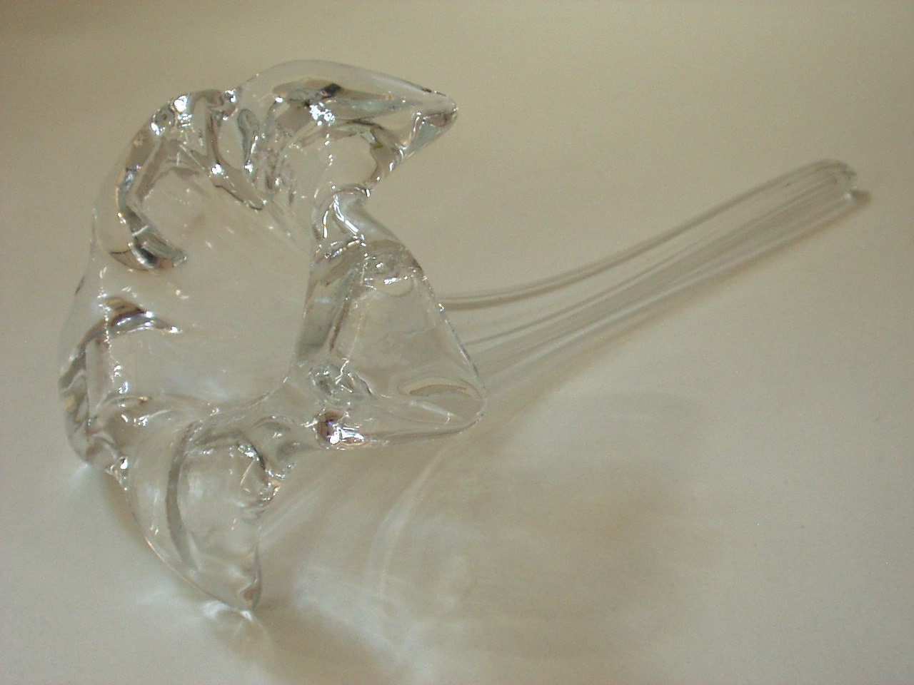 75 Horizontal Flower Shaped Clear Glass Bud Vase