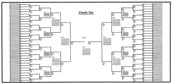 Large Family Tree Chart Bracket Style 48 X 24