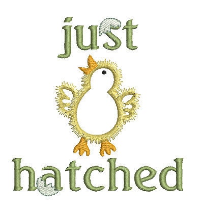 just hatched baby chick machine embroidery design Instant