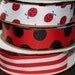 Ladybugs Polka Dots Ribbon Set Red and Black 12 yards