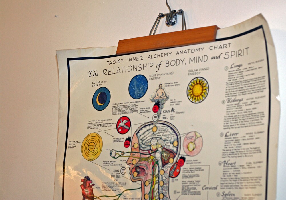 Vintage Taoist Inner Alchemy Healing Poster Anatomical Chart