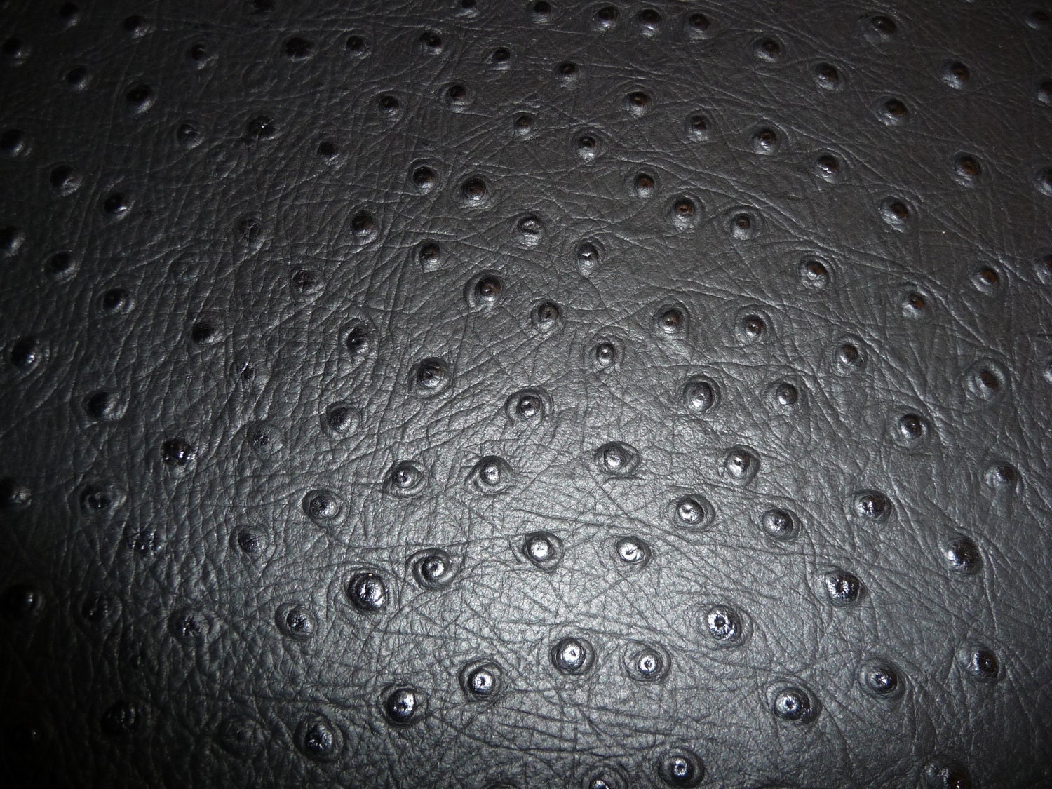 Gorgeous Black Emu Ostrich / Emu Leather Cowhide 1 by PeggySueAlso