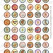 Cute Retro Animals 1 inch 25mm Circle Rounds by CuriousCrowDigital