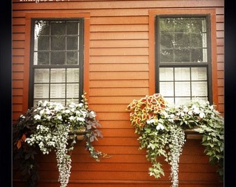 Popular items for window boxes on Etsy