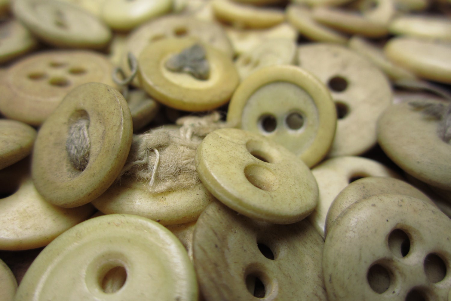 Authentic 1800s Bone Underwear Buttons for Reenactor Period