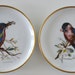 Porcelain coasters birds Kaiser W Germany set of 4