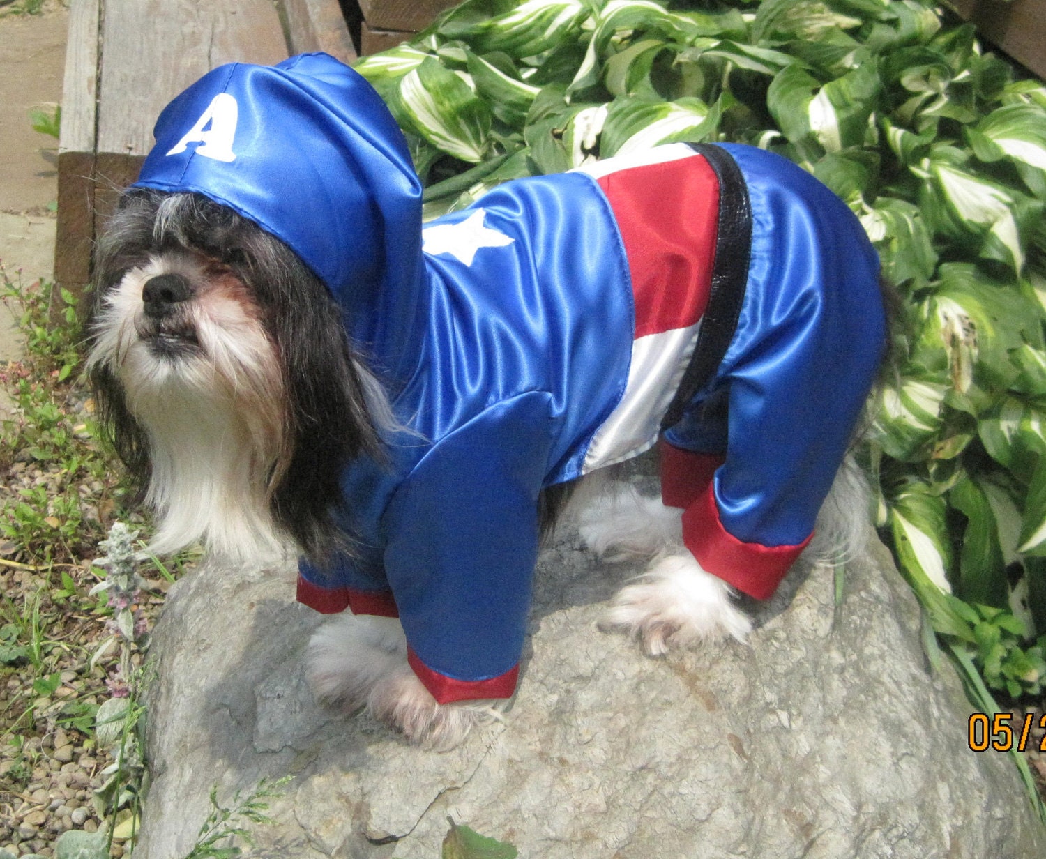 Avengers Captain America Dog Costume size Medium