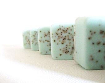 Goat milk soap | Etsy