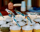 Items similar to blue bird cupcake toppers on Etsy