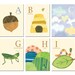 Nature's Alphabet 26 illustrated wall cards