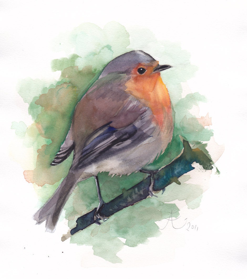 Robin Bird Painting