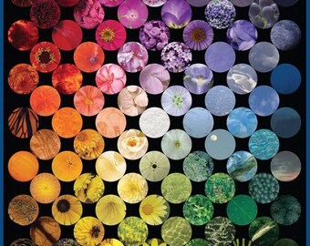 Nature room decor | Etsy