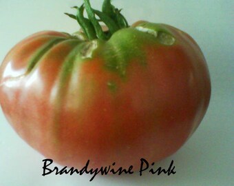 Pink brandywine | Etsy