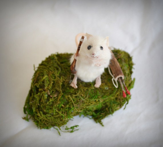 Anthropomorphic taxidermy mouse. by NimbleMatters on Etsy