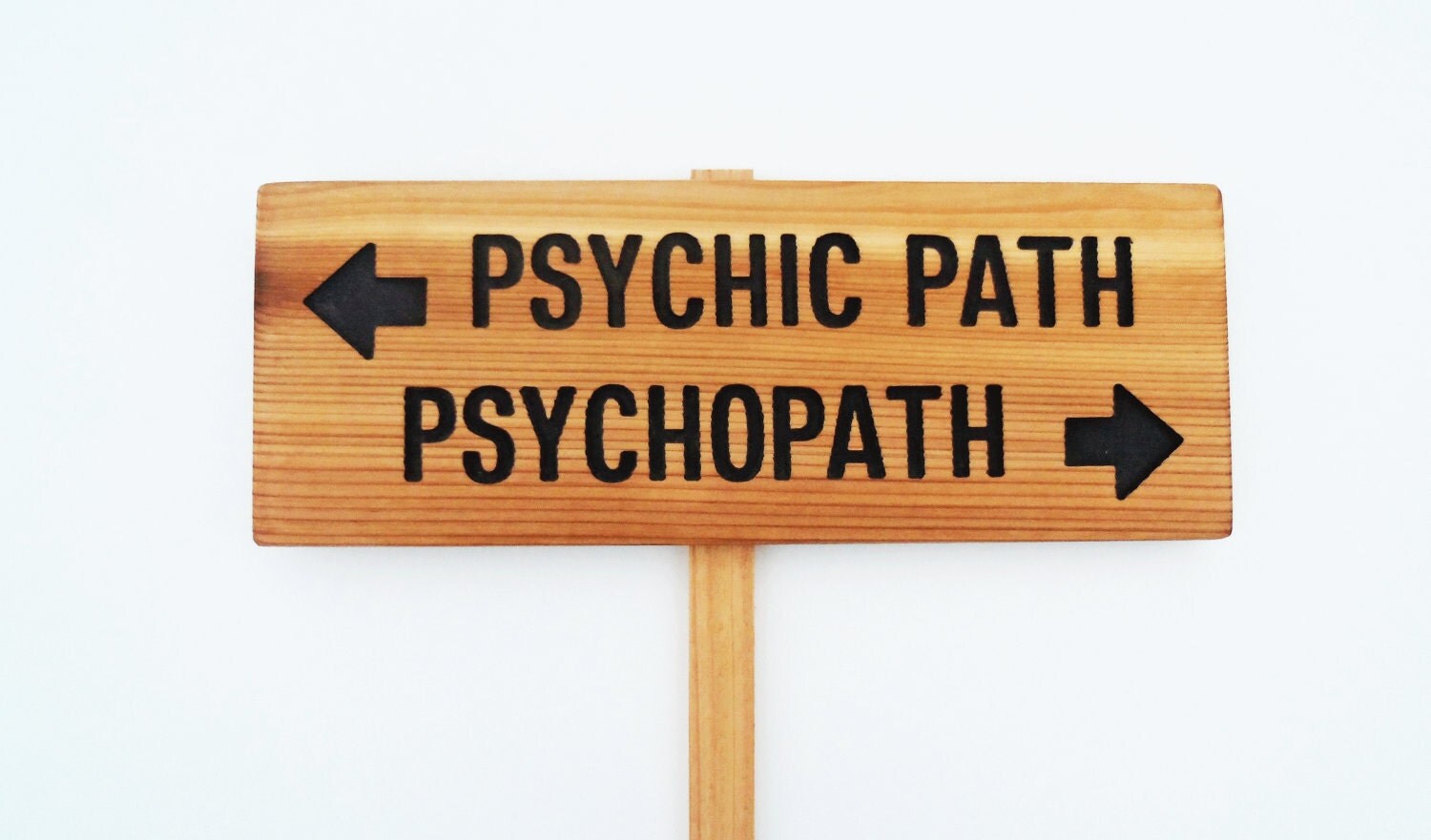 PSYCHIC PATH PSYCHOPATH Funny Directional Sign