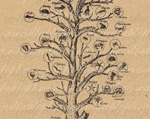 Unique genealogy tree related items | Etsy