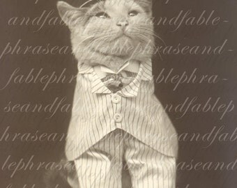 Costume d'animal | Etsy