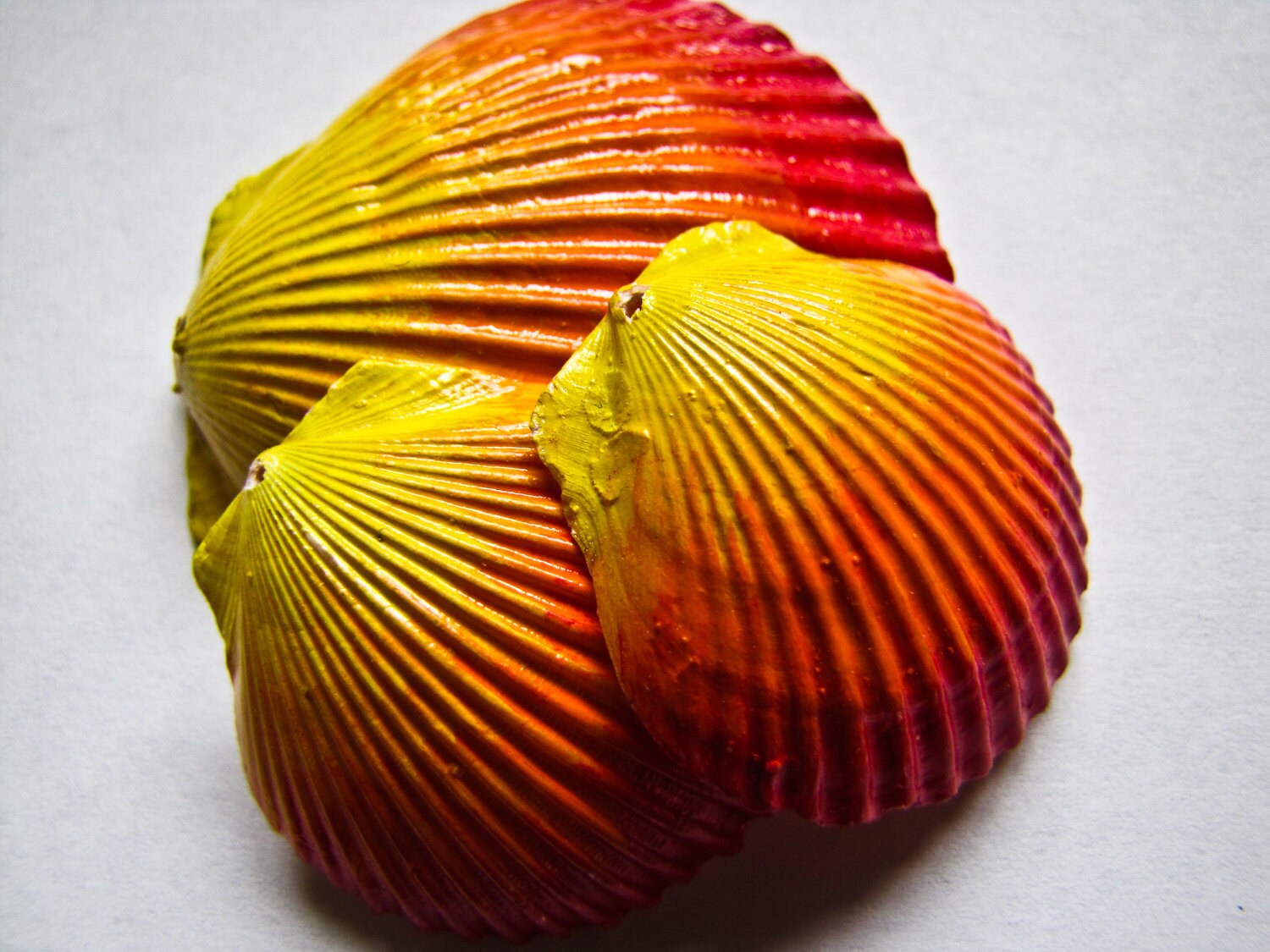 Fire Shells by KarenMFechner on Etsy