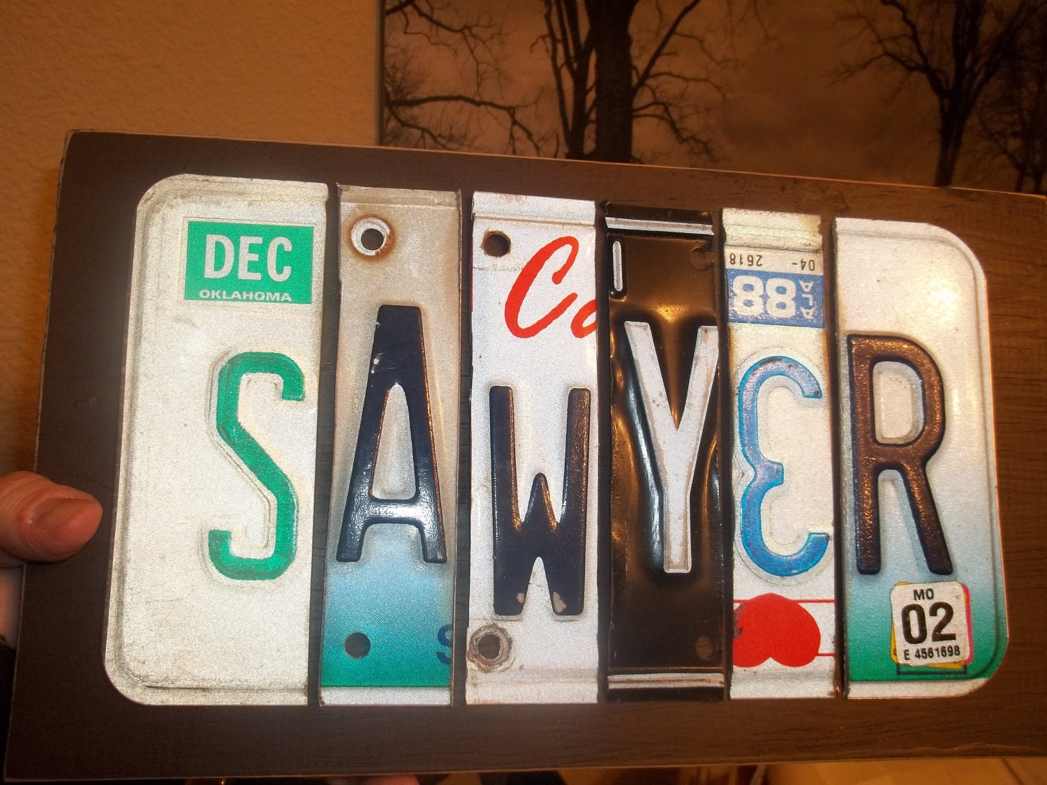 Custom License Plate Names 9-10 letters by licenseplatelady