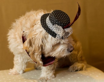 Polka dot Designer Dog Hat