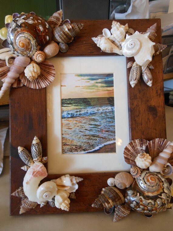 Beach Decor Shell Picture Frame Seashell Frame Shell Frame