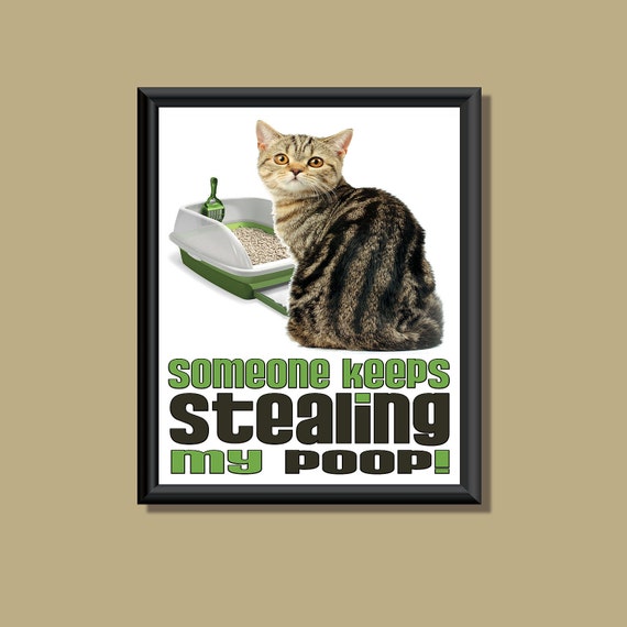 Someone Keeps Stealing My Poop 8x10 Cat Lover Digital Download