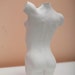 8 inch female torso model in white plaster.