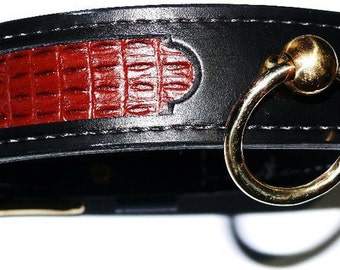 Popular items for roman dog collar on Etsy