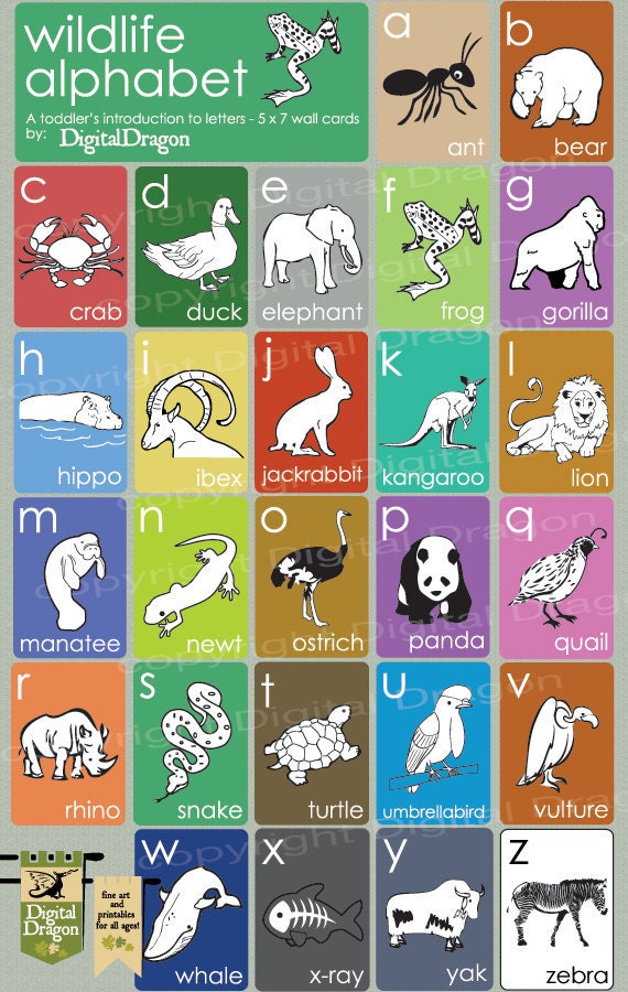 Items similar to Wildlife Alphabet 5x7 Cards on Etsy