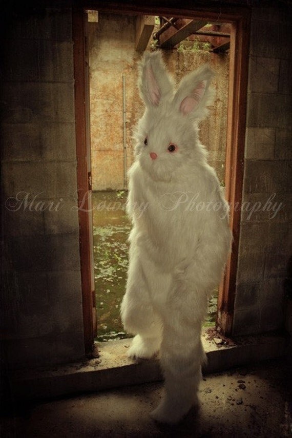 Items similar to Photography, 5x7 Creepy White Rabbit Photo Print, In ...