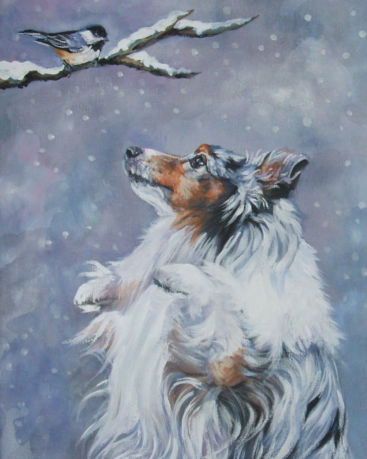 Shetland Sheepdog sheltie dog art CANVAS print of LA Shepard