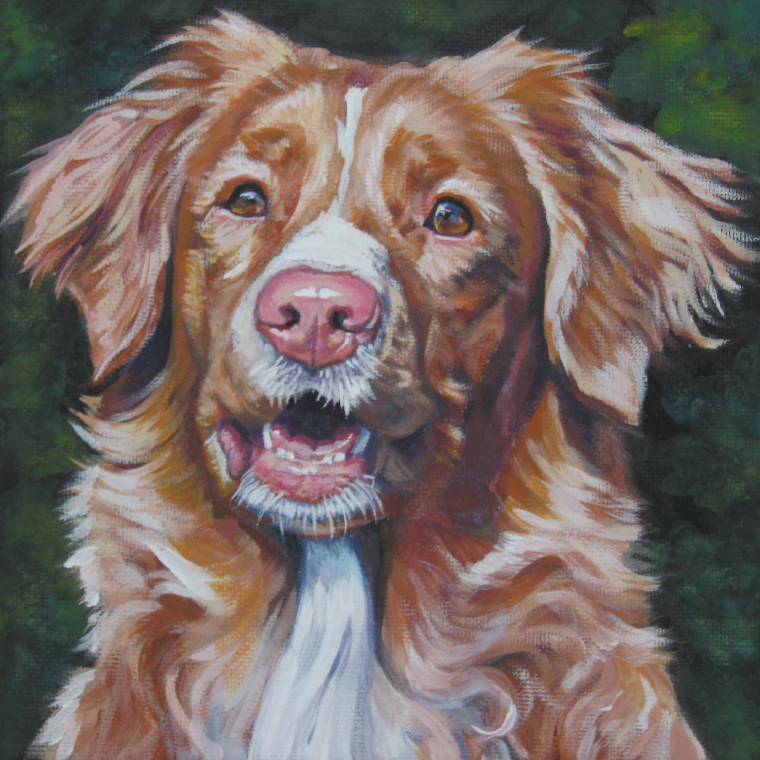 Nova Scotia Duck Tolling Retriever TOLLER dog ART canvas PRINT