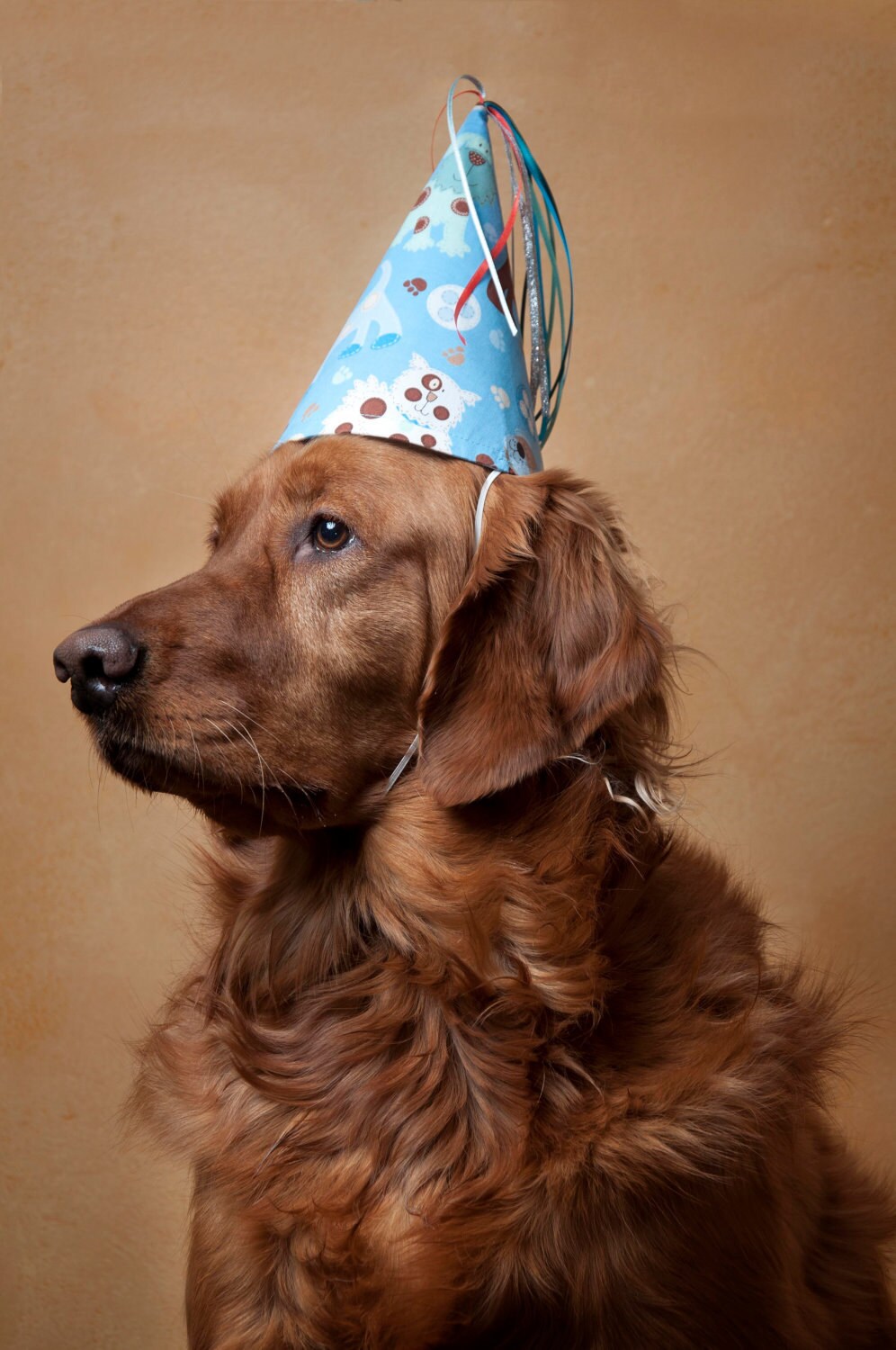 Dog Party Hat Birthday Children Party Hat By Studiowillow On Etsy