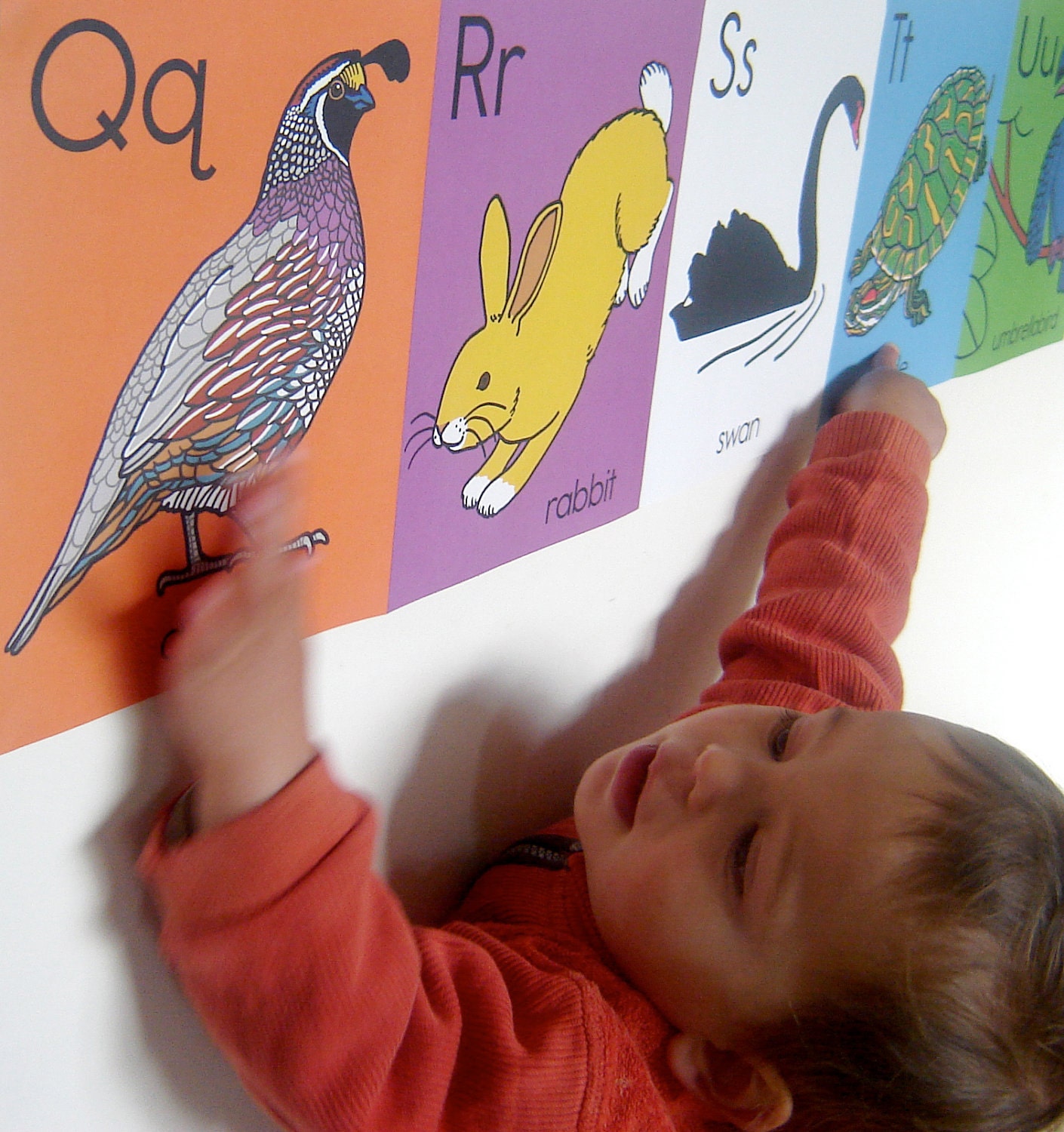 ABC alphabet animal wall frieze fun and by harrietbailey2 on Etsy