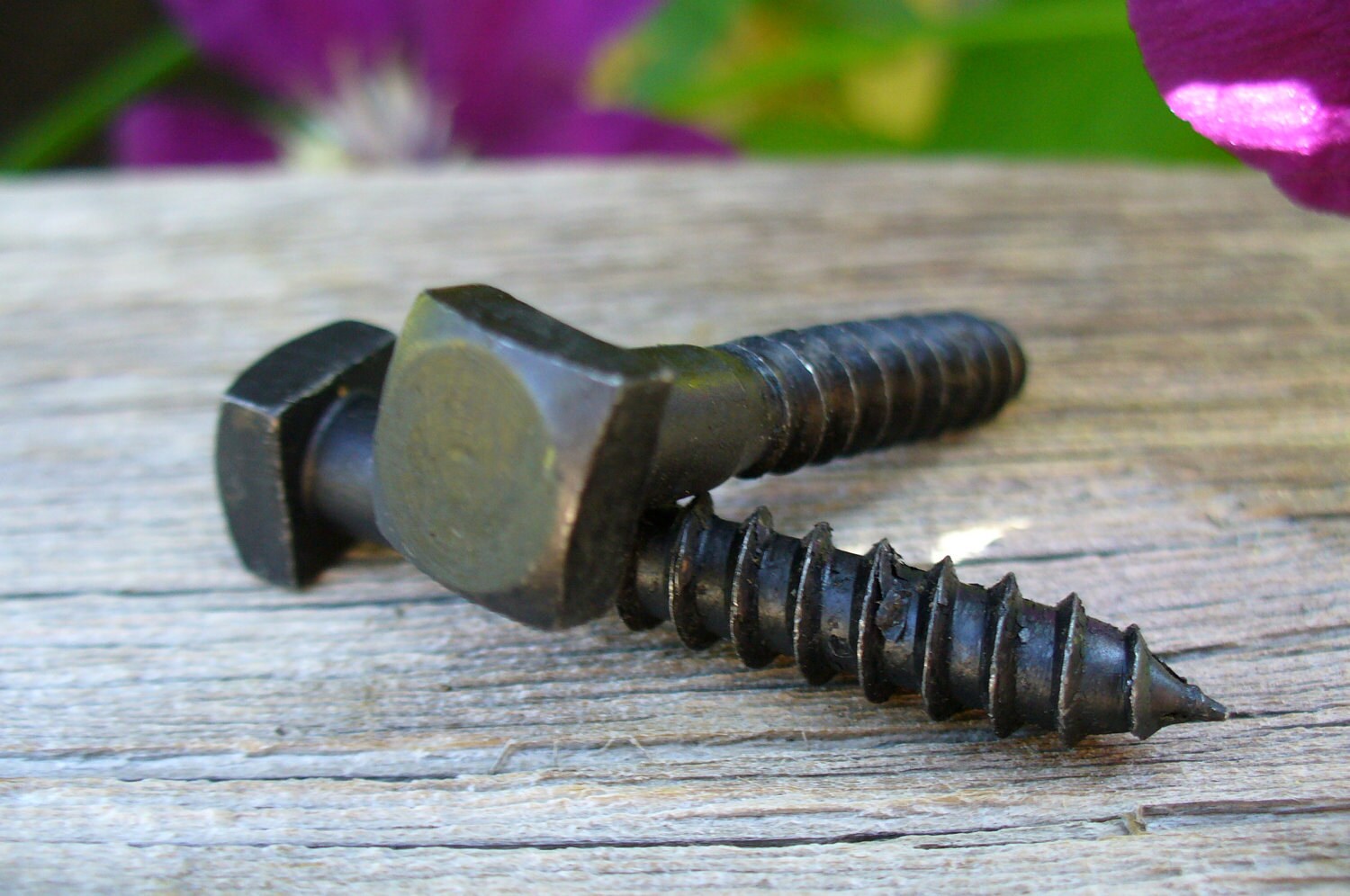 VINTAGE SQUARE HEAD Wood Screws Set Of 10