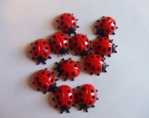 Popular items for lady bird on Etsy