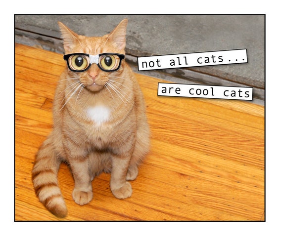 Cats photo collage mixed media collage Nerd Funny by RikkiVanCamp