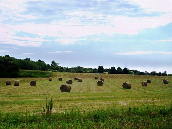 Hay Rolls-8x10 Photo