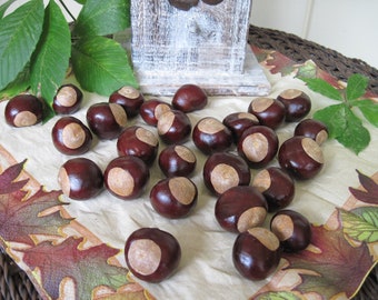 25 BUCKEYES - Craft Projects - Good Luck Charms