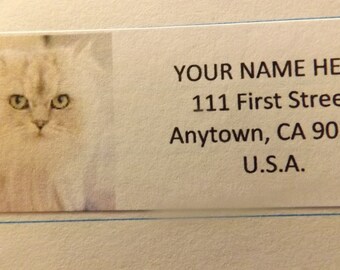 Cat address labels | Etsy