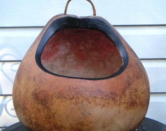 Popular items for african gourd on Etsy