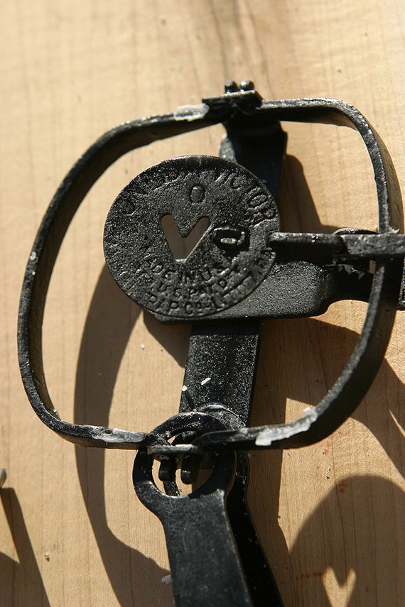 Items similar to Vintage rare Vermont Barn Leg Hold Trap No.1 1/2 ...