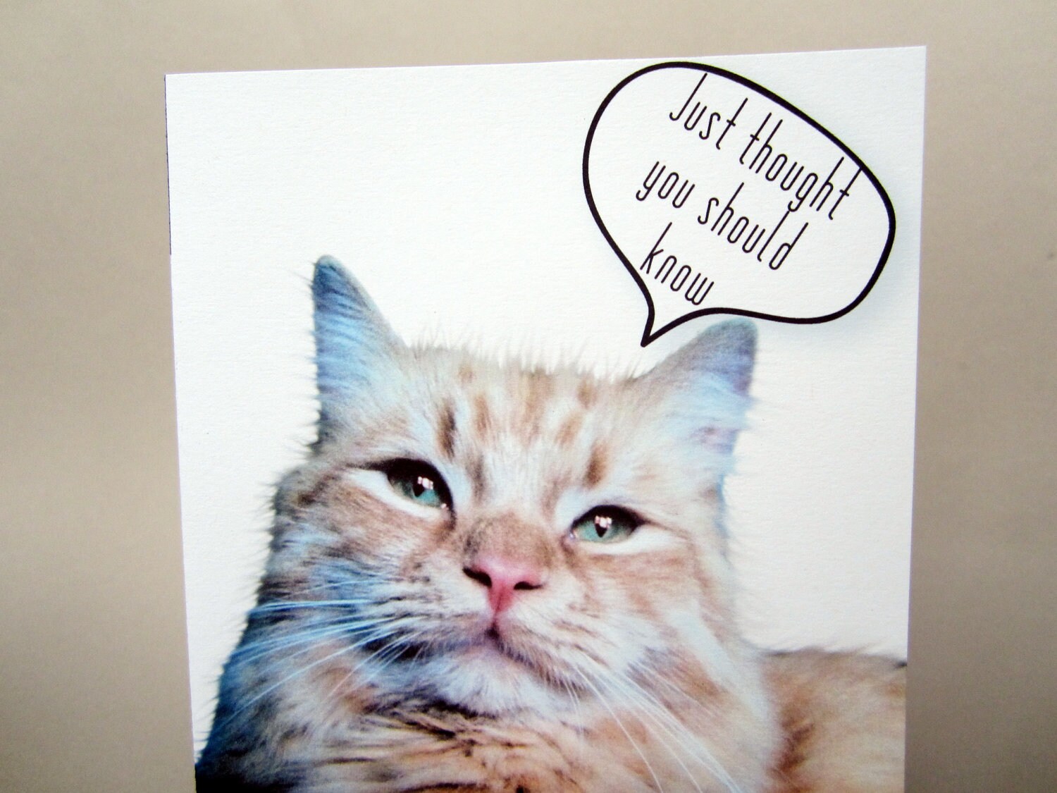 Funny Greeting Card Card for friend Crazy Cat by FunGirlsCards