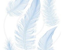 Popular items for feather clip art on Etsy
