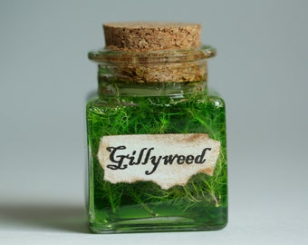 New Hogwarts School of Indonesia: BAB V: Gillyweed